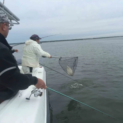 Flounder Season Opens in New Jersey - TackleDirect
