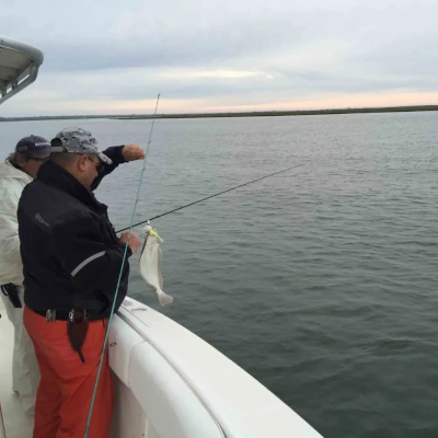 Flounder Season Opens in New Jersey - TackleDirect