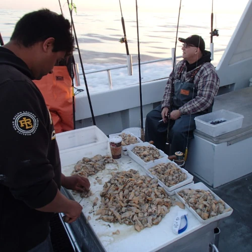 Cod Bait Bite - TackleDirect