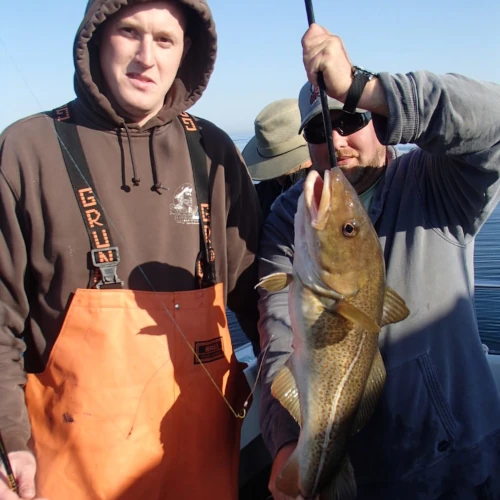 Cod Bait Bite - TackleDirect