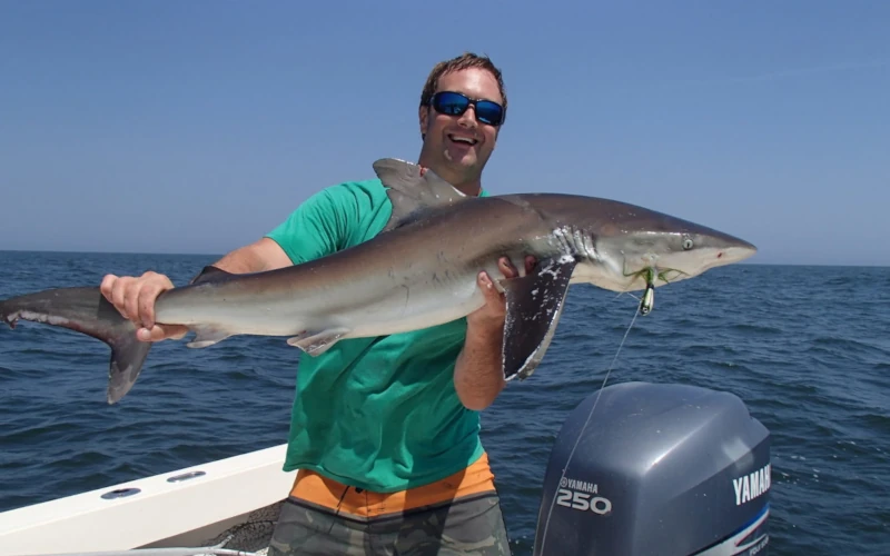 Inshore Sharking - TackleDirect