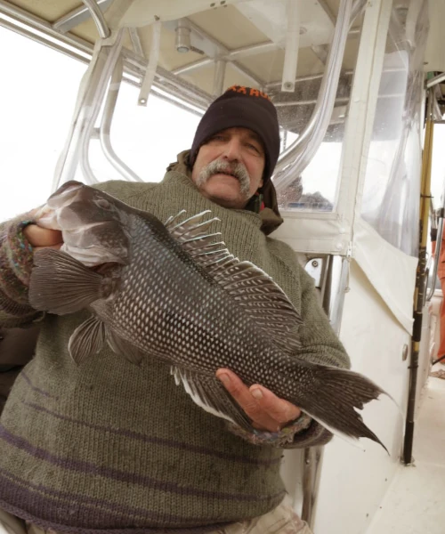 Sea Bass Reopener - TackleDirect