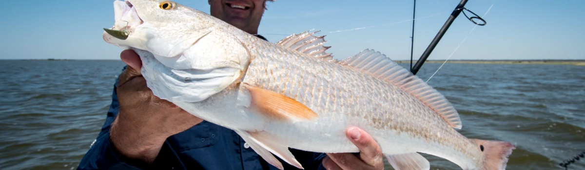 Spooning Florida Gulf Redfish - TackleDirect