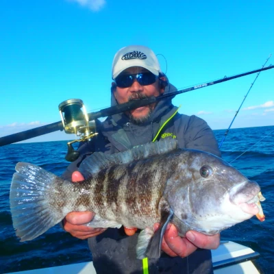 Tog Tips - TackleDirect