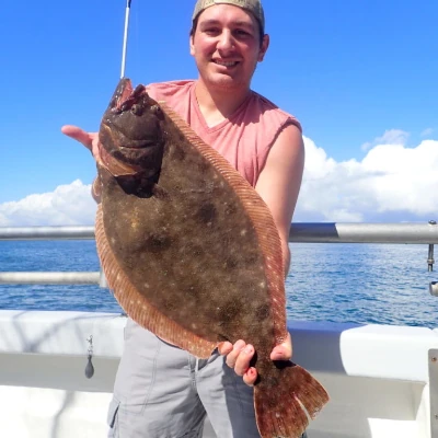 Party Boat Fluke Checklist - TackleDirect