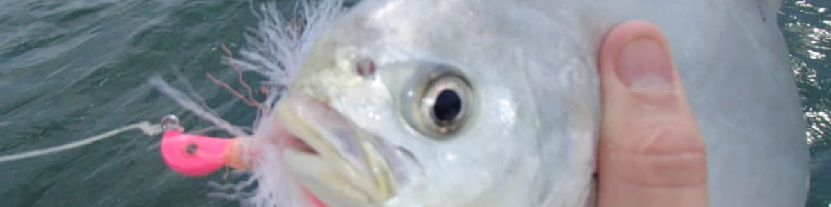 Pompano from the Surf - TackleDirect