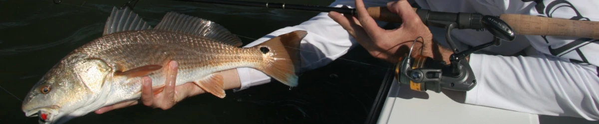 Proper Protection - TackleDirect