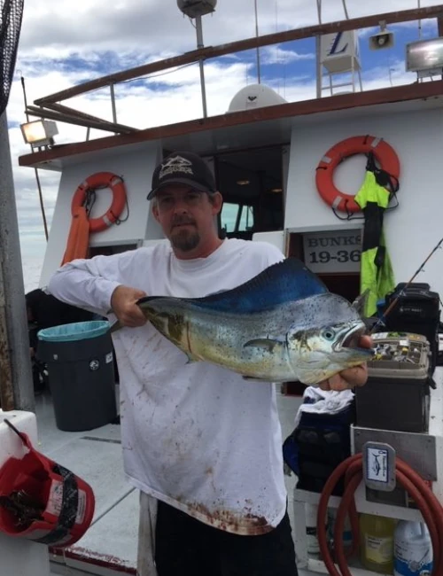 So Cal Fishing at its Finest - TackleDirect