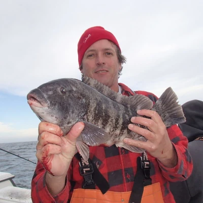 Tog Rigs 101 - TackleDirect