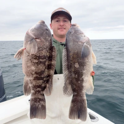 Tog Rigs 101 - TackleDirect