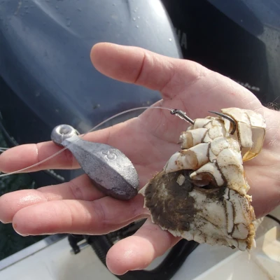 Tog Rigs 101 - TackleDirect