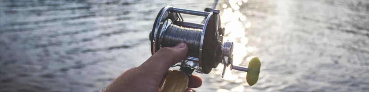 Buying a New Reel: What You Need to Know to Make the Right Choice ...