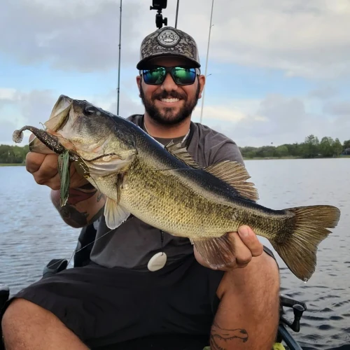 What Lures Are Best for Bass? - TackleDirect