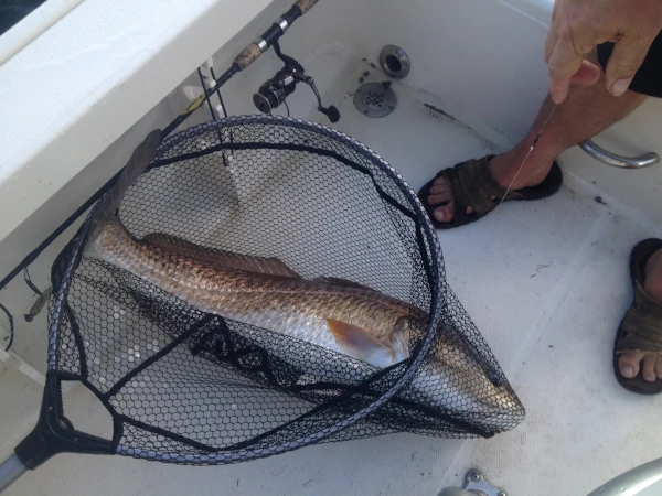 Red October in Florida - TackleDirect