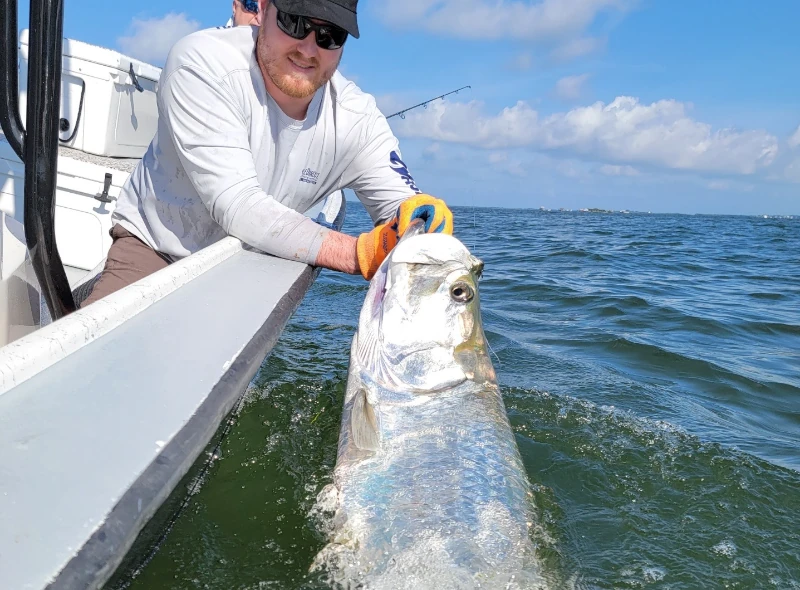 Tarpon Fishing in Florida - TackleDirect