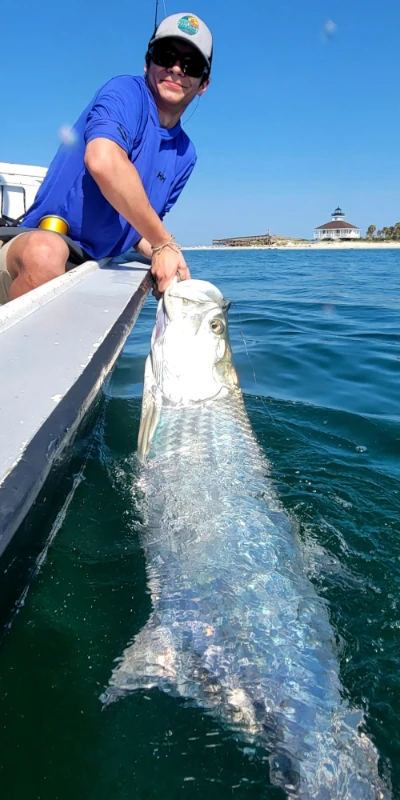 Tarpon Fishing in Florida - TackleDirect