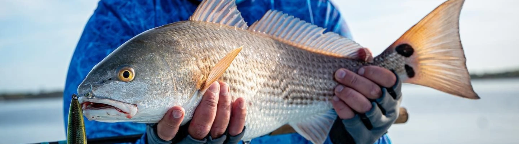 Wintertime Louisiana Redfish - TackleDirect