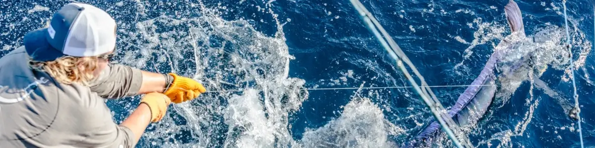 2024 White Marlin Open Fishing Tournament - TackleDirect