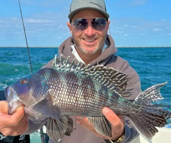 Black Sea Bass Tips & Tackle - TackleDirect