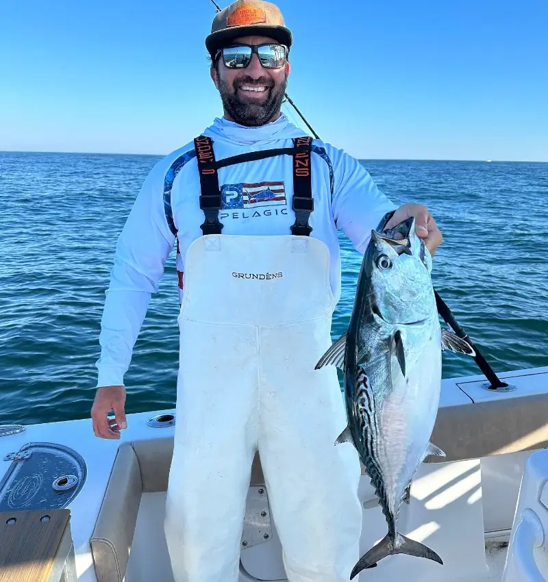 How to Fish for False Albacore - TackleDirect