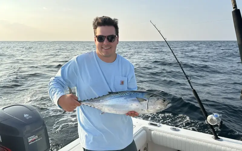 How to Fish for False Albacore - TackleDirect