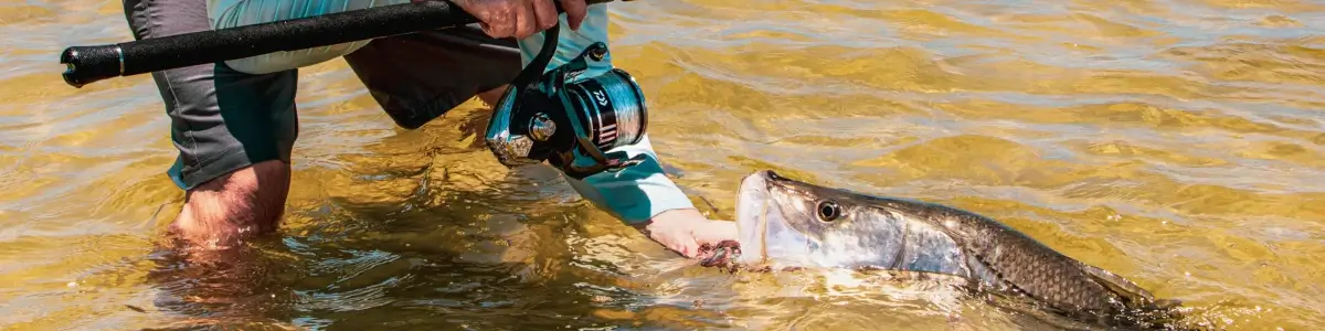 Top 10 Inshore Spinning Reels - TackleDirect