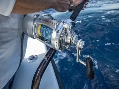 Top 5 Daytime Swordfish Reels - TackleDirect