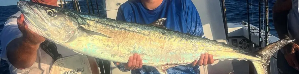 Top 5 King Mackerel "Kingfish" Reels - TackleDirect