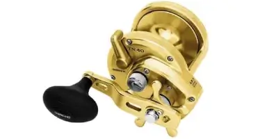 Top 5 King Mackerel "Kingfish" Reels - TackleDirect