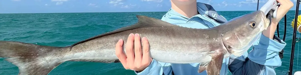 Understanding Fish Behavior in Hot Weather: How to Adapt Your ...