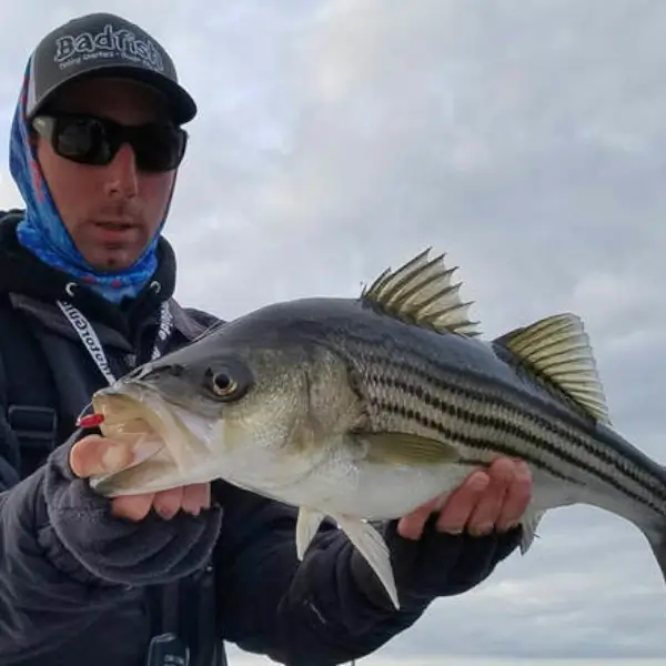 Brian Williams - Pro Staff | TackleDirect