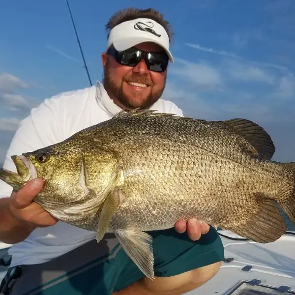 Pro Staff Jason Ramer - Pro Staff | TackleDirect