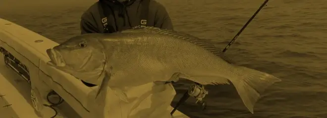 Tilefish Deep Dropping Gear | TackleDirect