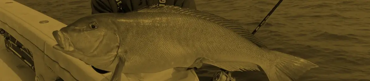 Tilefish Deep Dropping Gear | TackleDirect